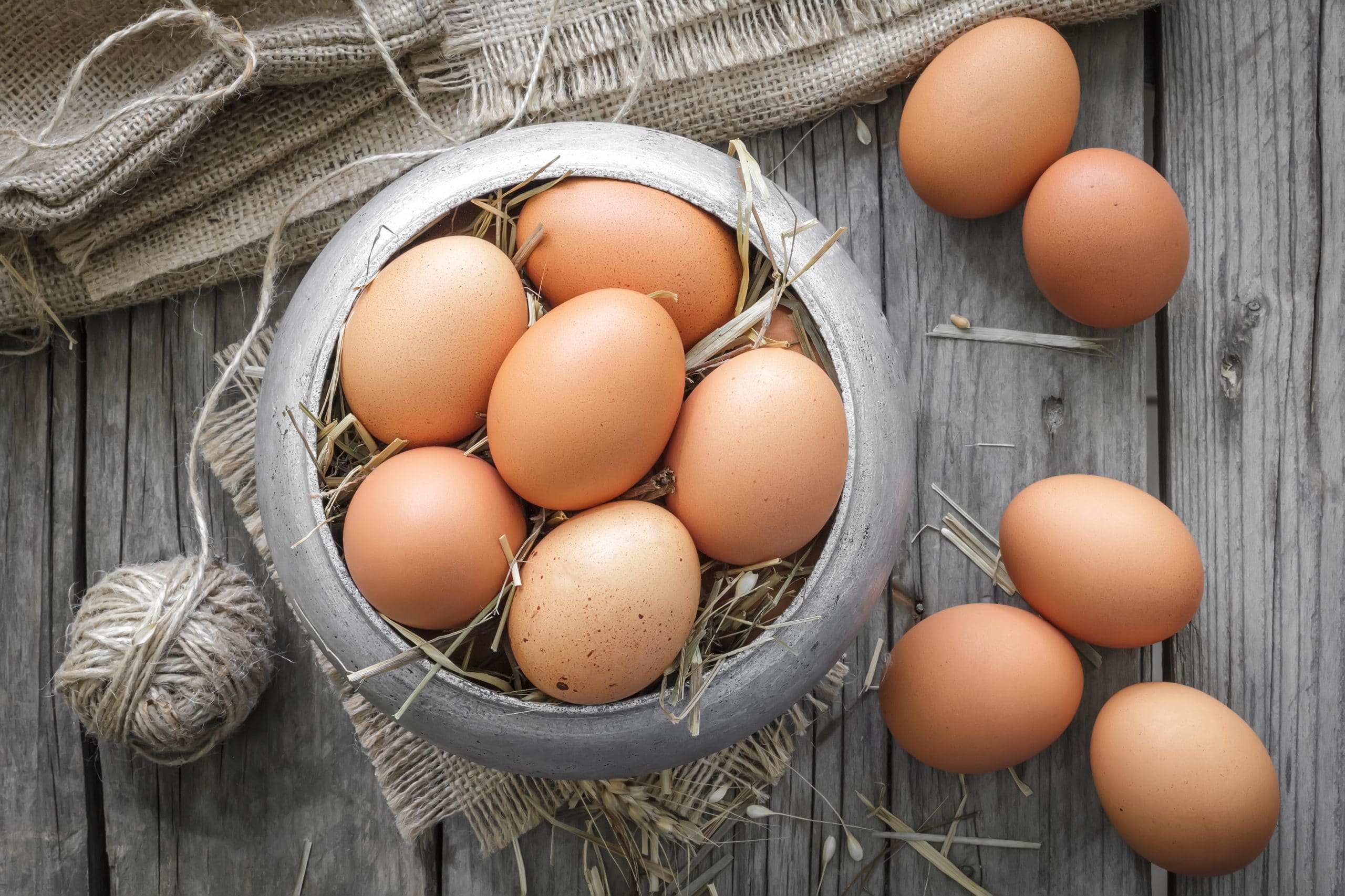 Egg Quality: What Are The Main Factors? | Layer | Poultry | ADM
